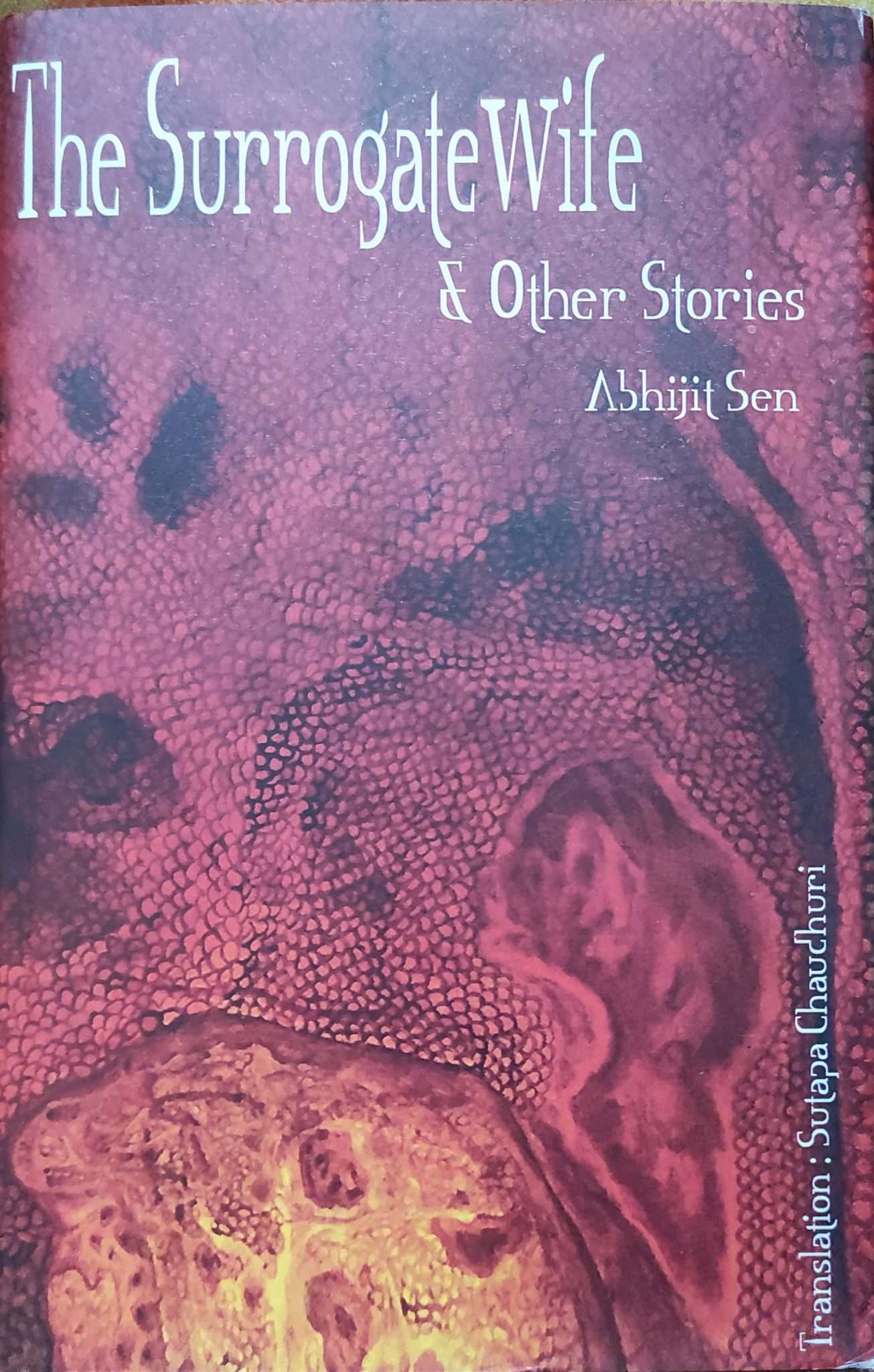The Surrogate Wife Other Stories By Abhijit Sen Translation
